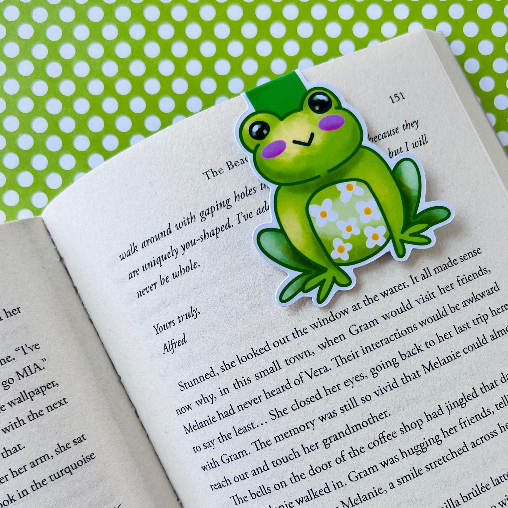 Magnetic Frog Bookmark – Daily With Jules